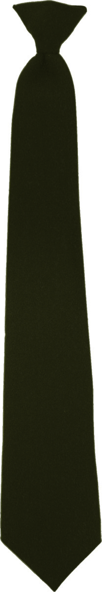 AGSU Clip On Tie, 3in x 18in Long