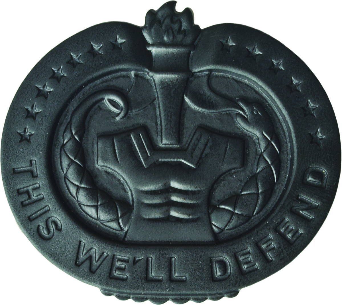 Drill Instructor Badge Black Metal