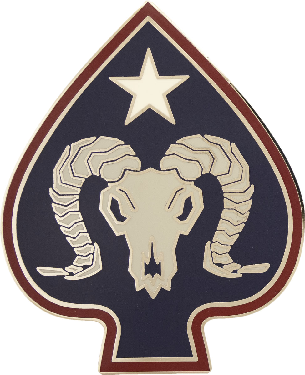 17th Sustainment Brigade Combat Service Identification Badge