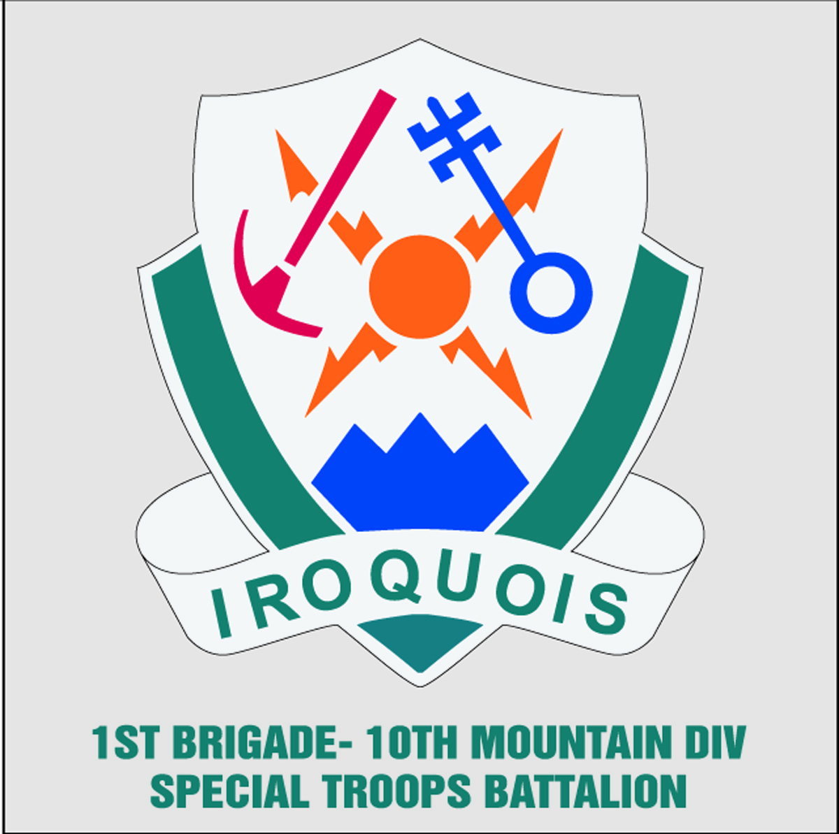 1st Brigade 10th Mountain Division Special Troops Battalion Unit Cr...