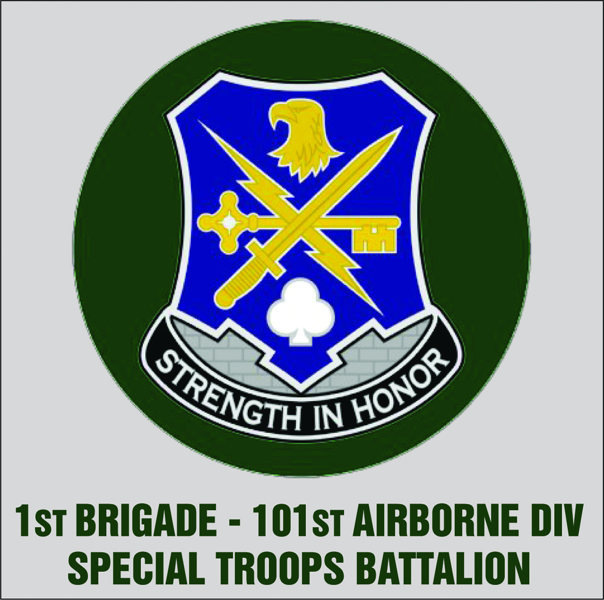 1st Brigade 101st Airborne Division Special Troops Battalion Unit C...