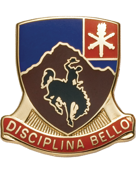 213th Regiment Unit Crest (Disciplina Bello)