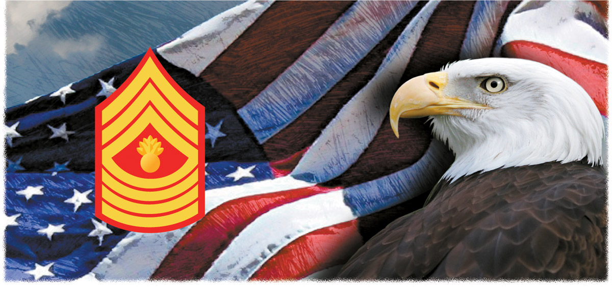 Marine Corps, Master Gunnery Sergeant, Flag with Eagle