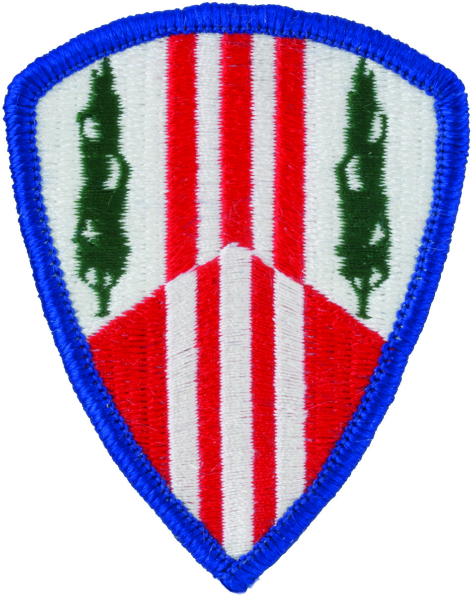369th Sustainment Brigade Full Color Patch