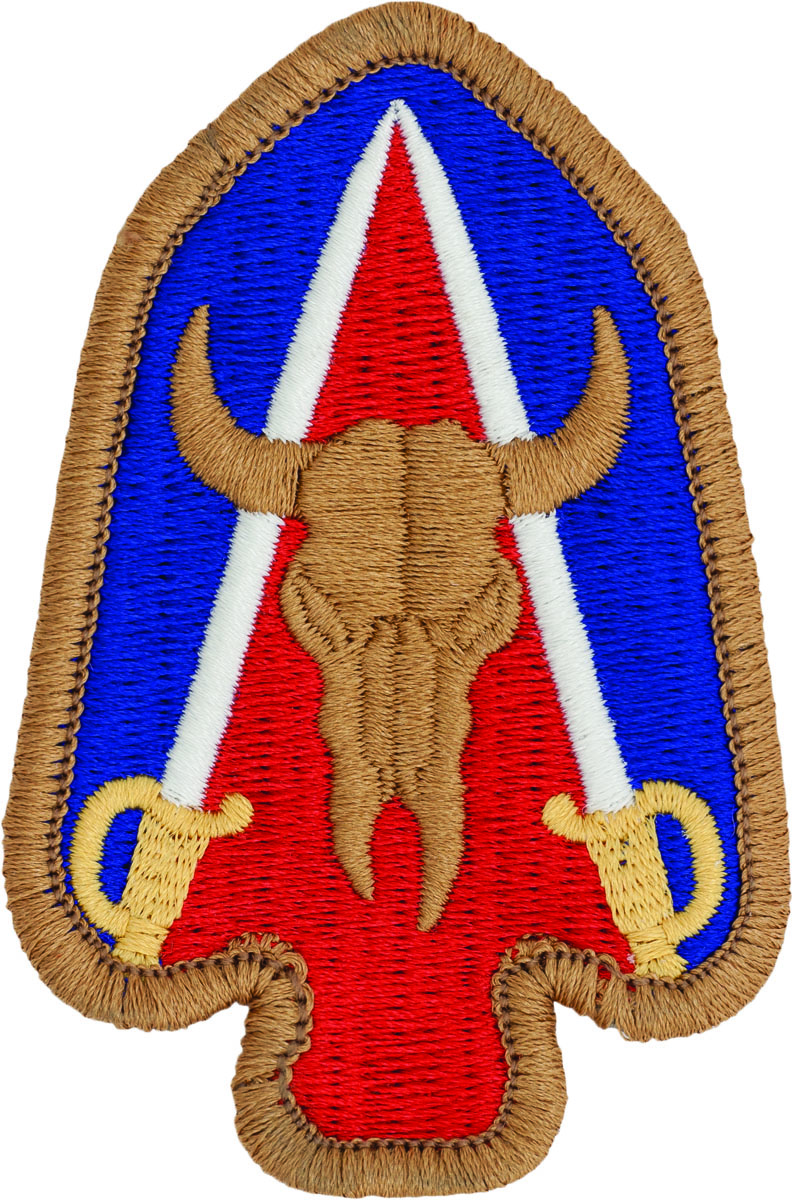 1889th Support Group Full Color Patch
