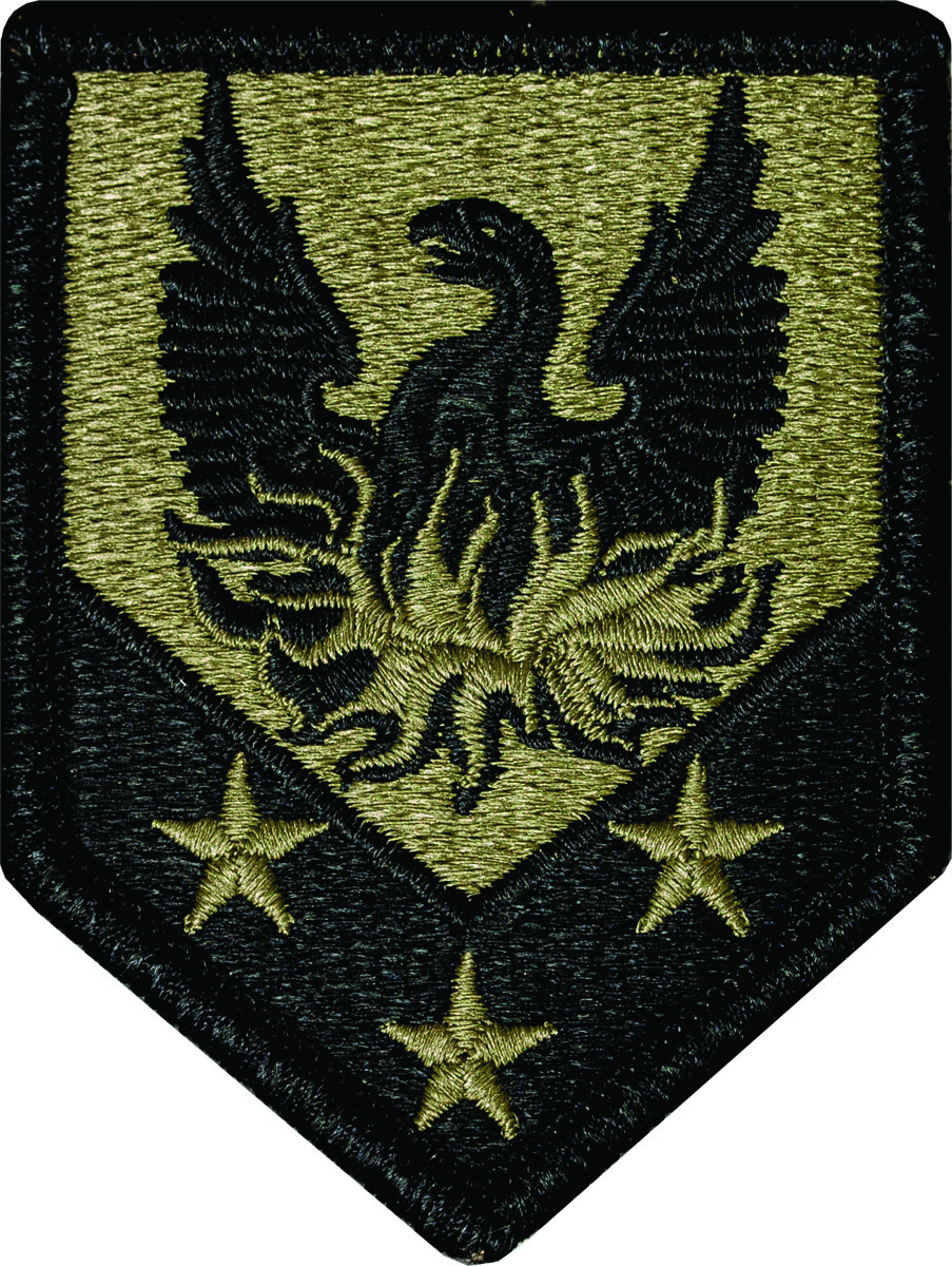 110th Combat Support Brigade Scorpion Patch with Fastener