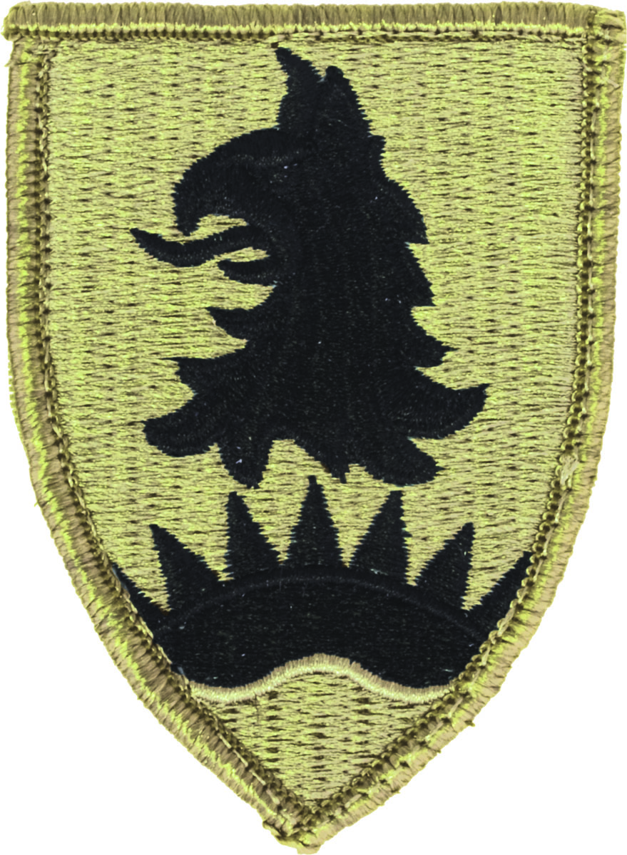 221st Military Police Brigade Scorpion Patch with Fastener