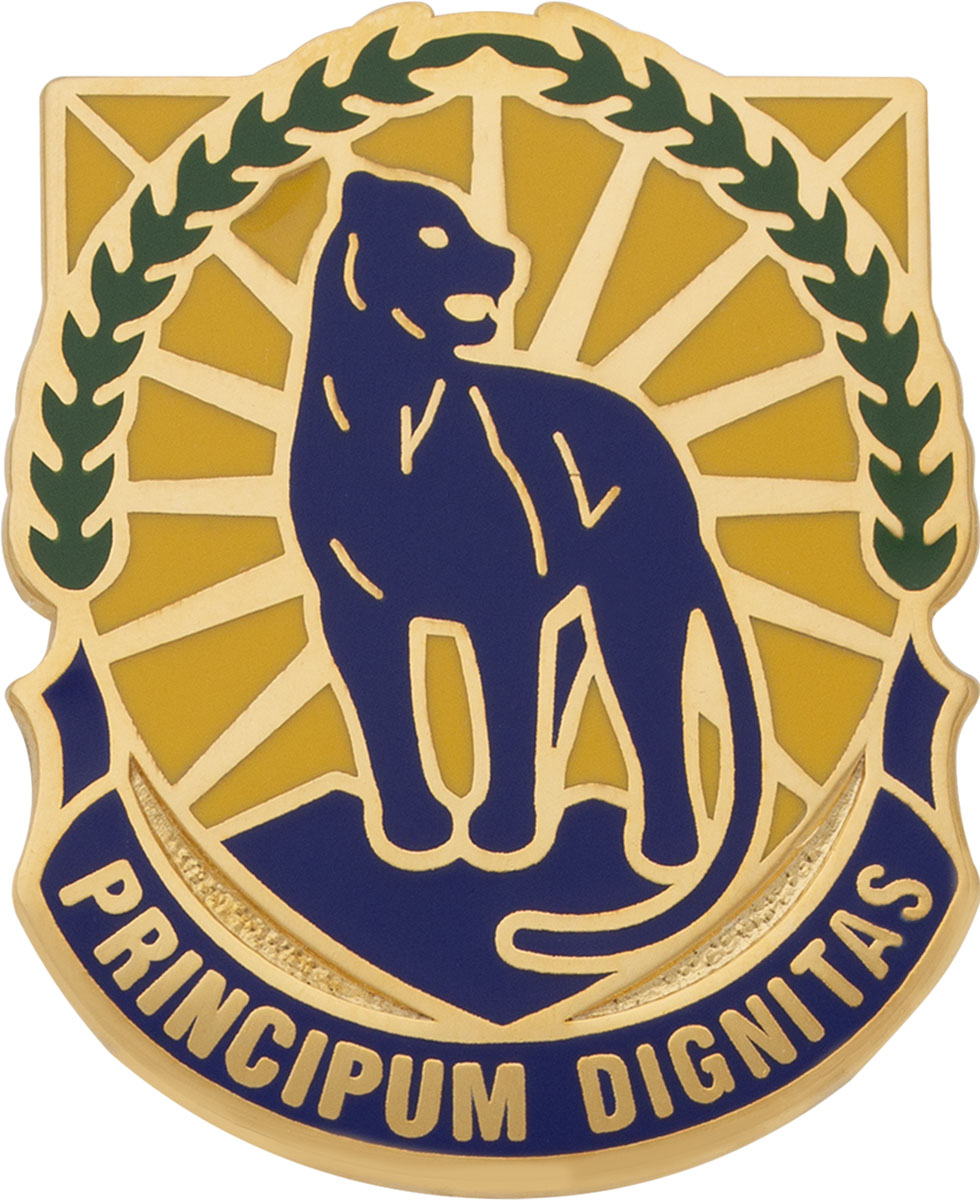 Murphy High School (Principum Dignitas) JROTC Unit Crest