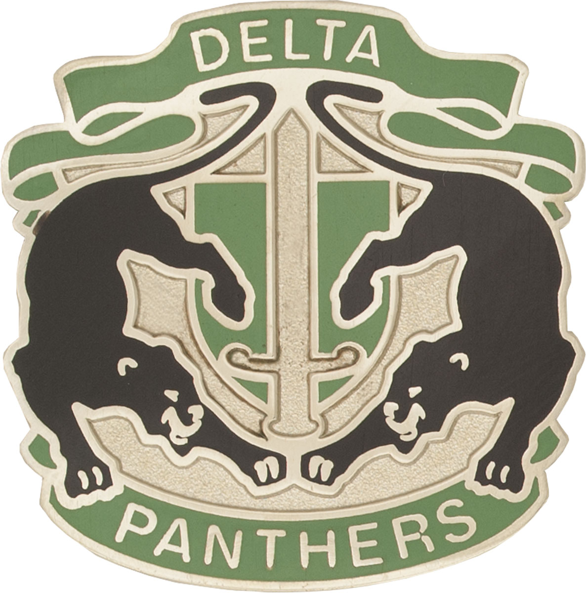 Delta High School (Delta Panthers) JROTC Unit Crest