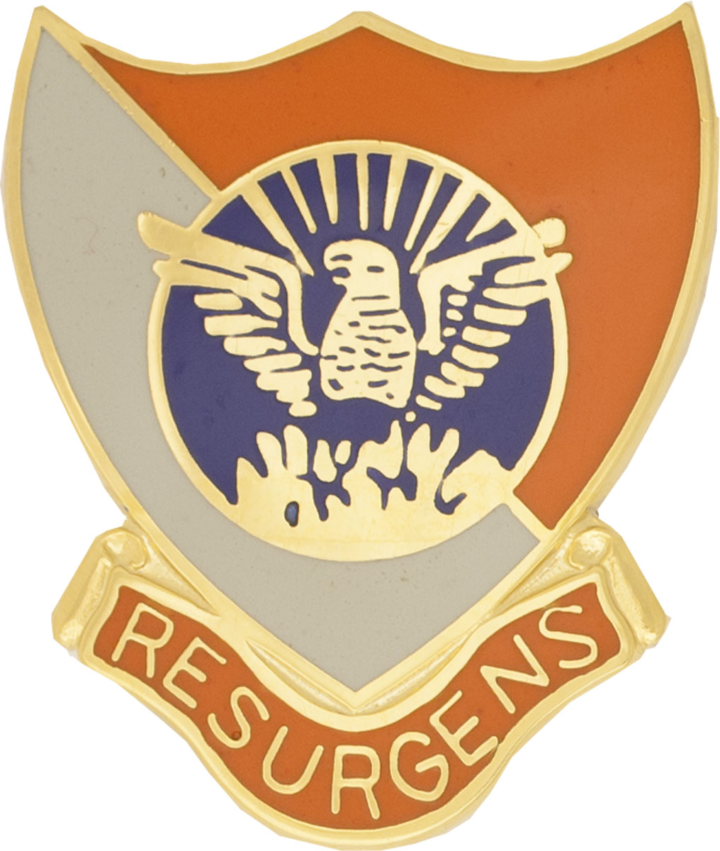 Henry W. Grady High School (Resurgens) JROTC Unit Crest