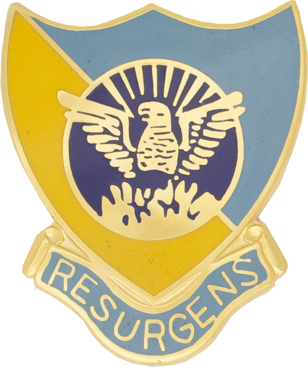 Benjamin E Mays High School (Resurgens) JROTC Unit Crest