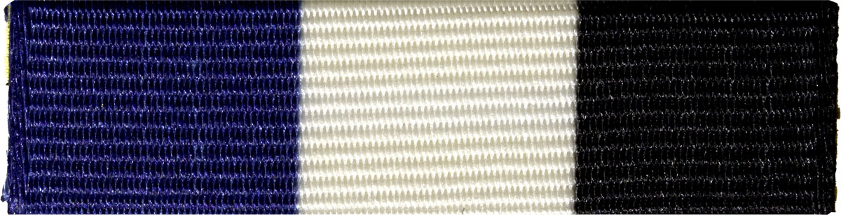 USAA Educational Foundation JLAB Ribbon