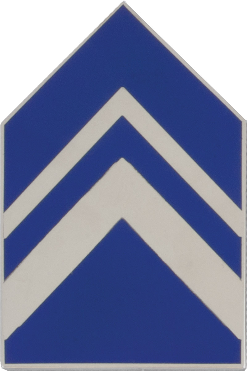 AFJROTC Cadet Officer Rank, Lieutenant Colonel