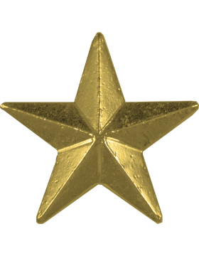 Police Rank (U-255G) One Star Gold 1/2in