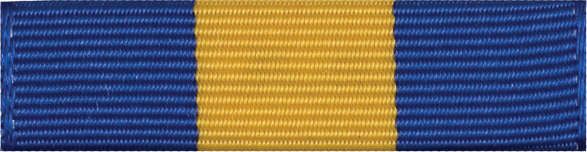 U-R308 Blue Yellow and Blue | US Military