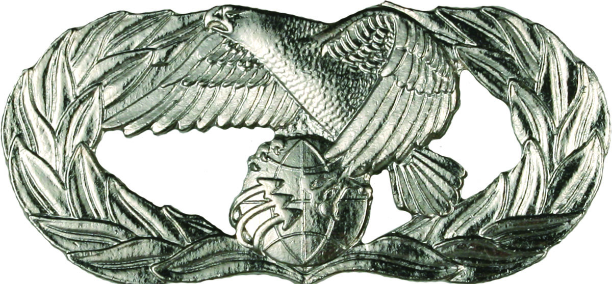 Air Force Badge No Shine Full Size Transportation