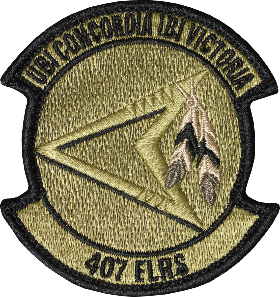 407th Expeditionary Logistics Readiness Sq OCP Patch with Fastener