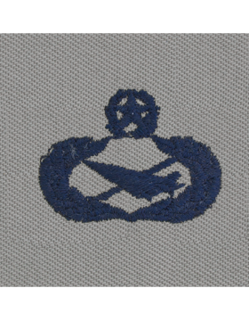 Air Force ABU Sew-on Badge Historian